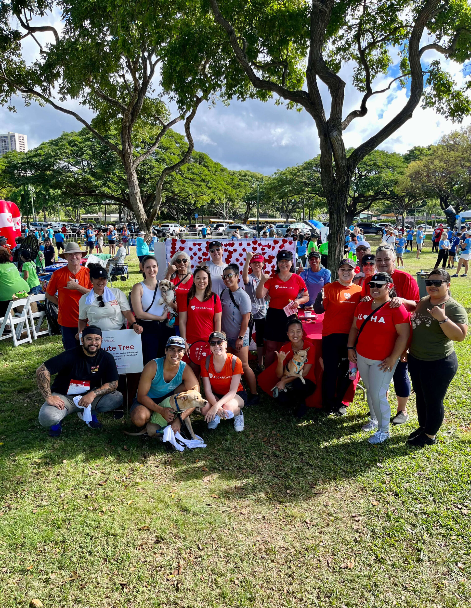 Contact Us – AlohaCare